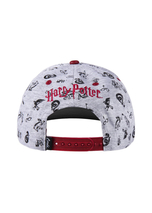 Gorra Harry Potter Visera Plana